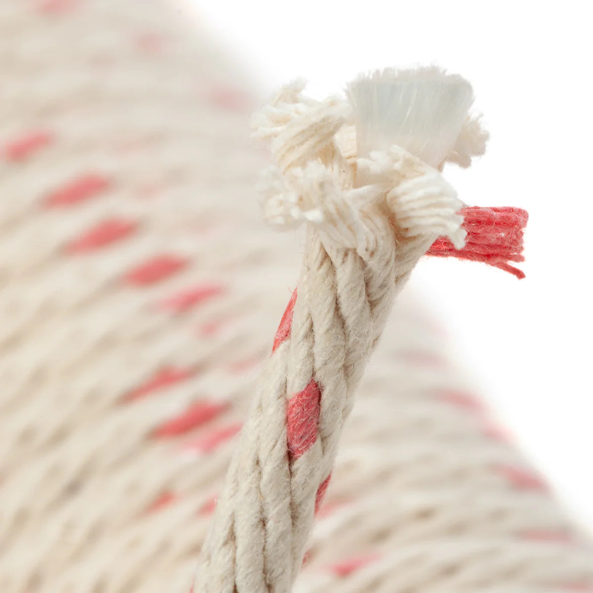 1/4" Spot Cord x 100 ft. Hank – Quixote Studio Store